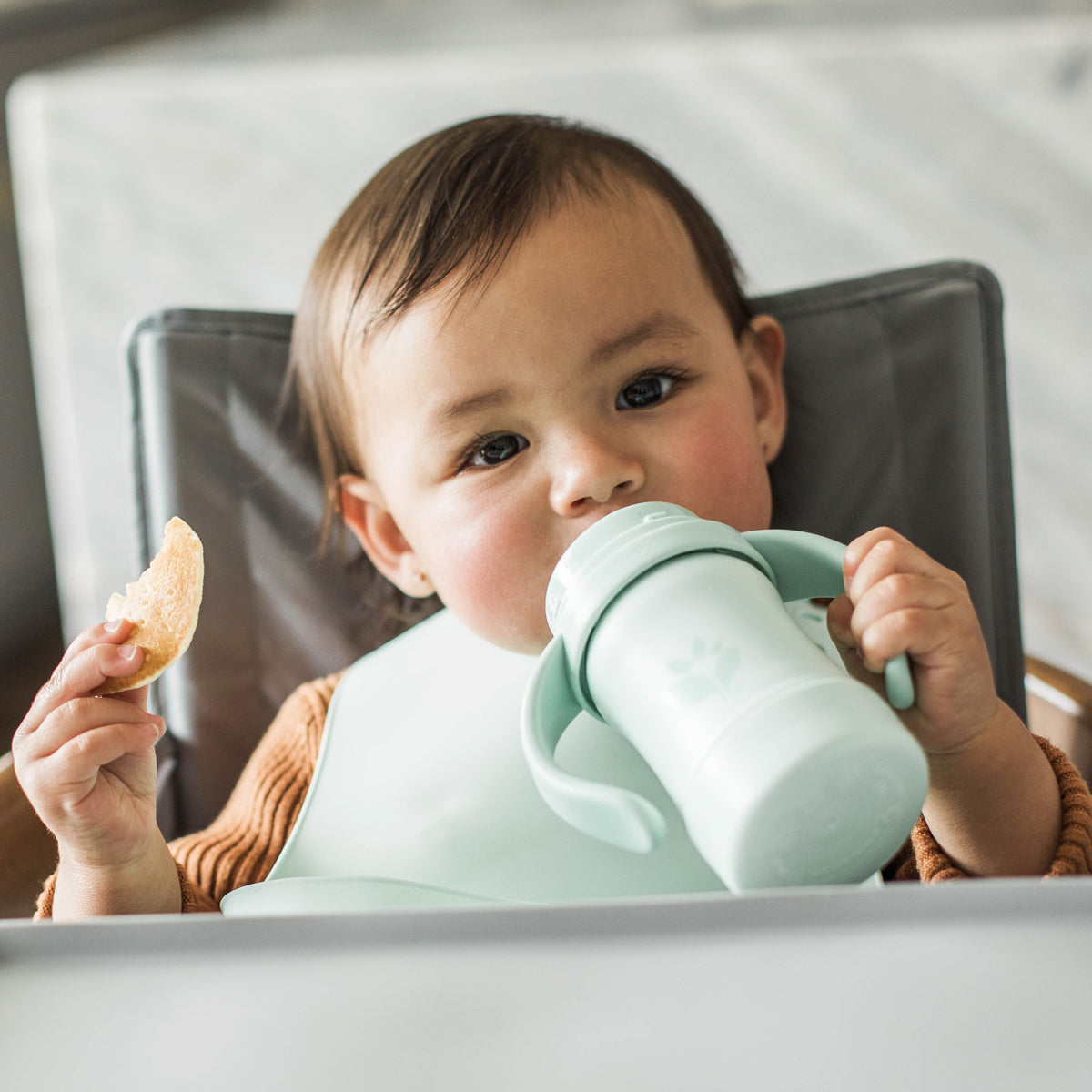 Sprout Ware® Sip & Straw | green sprouts®